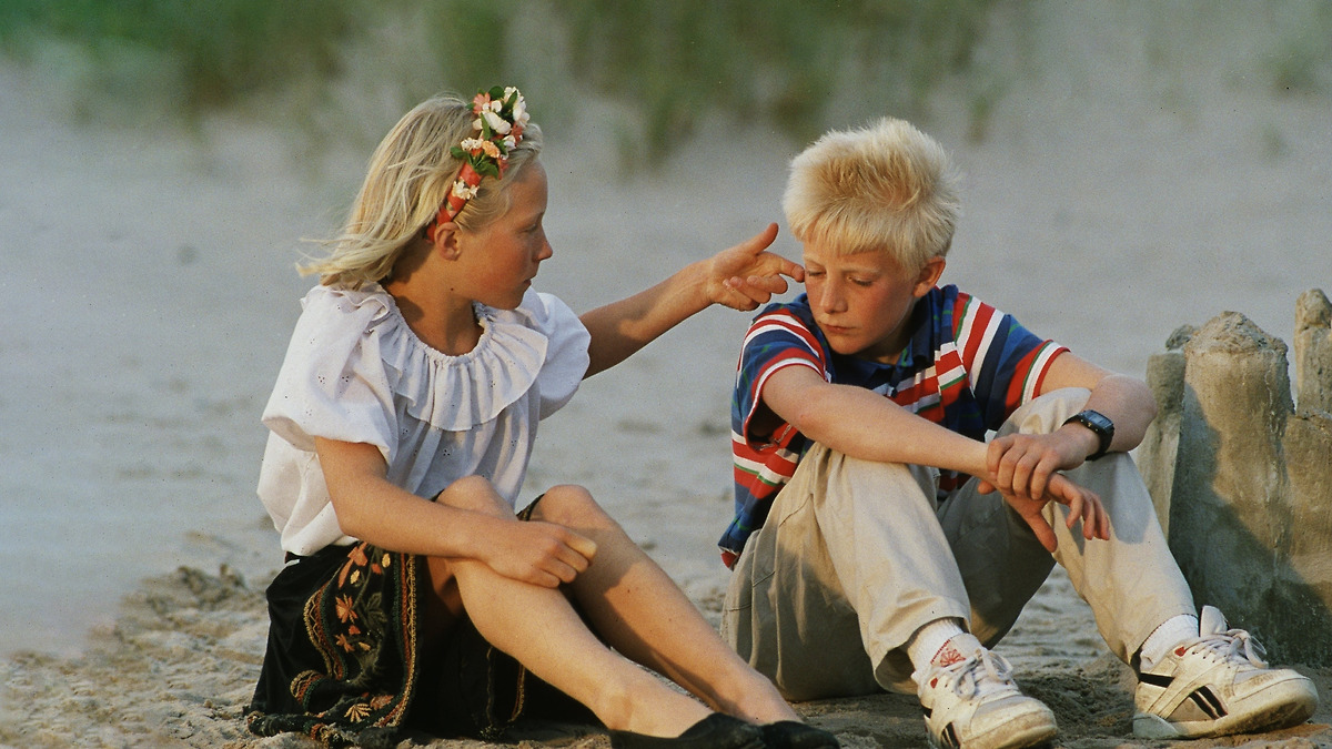 ‎Sune's Summer (1993) directed by Stephan Apelgren • Reviews, film ...