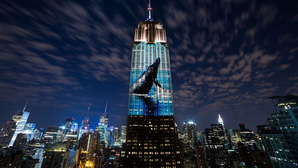 ‎Racing Extinction (2015) directed by Louie Psihoyos • Reviews, film ...