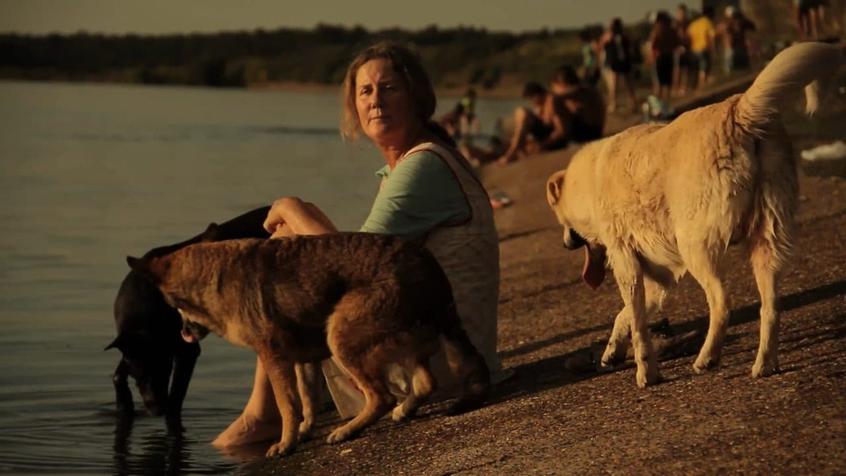 ‎Dog Lady (2015) directed by Laura Citarella, Verónica Llinás • Reviews ...