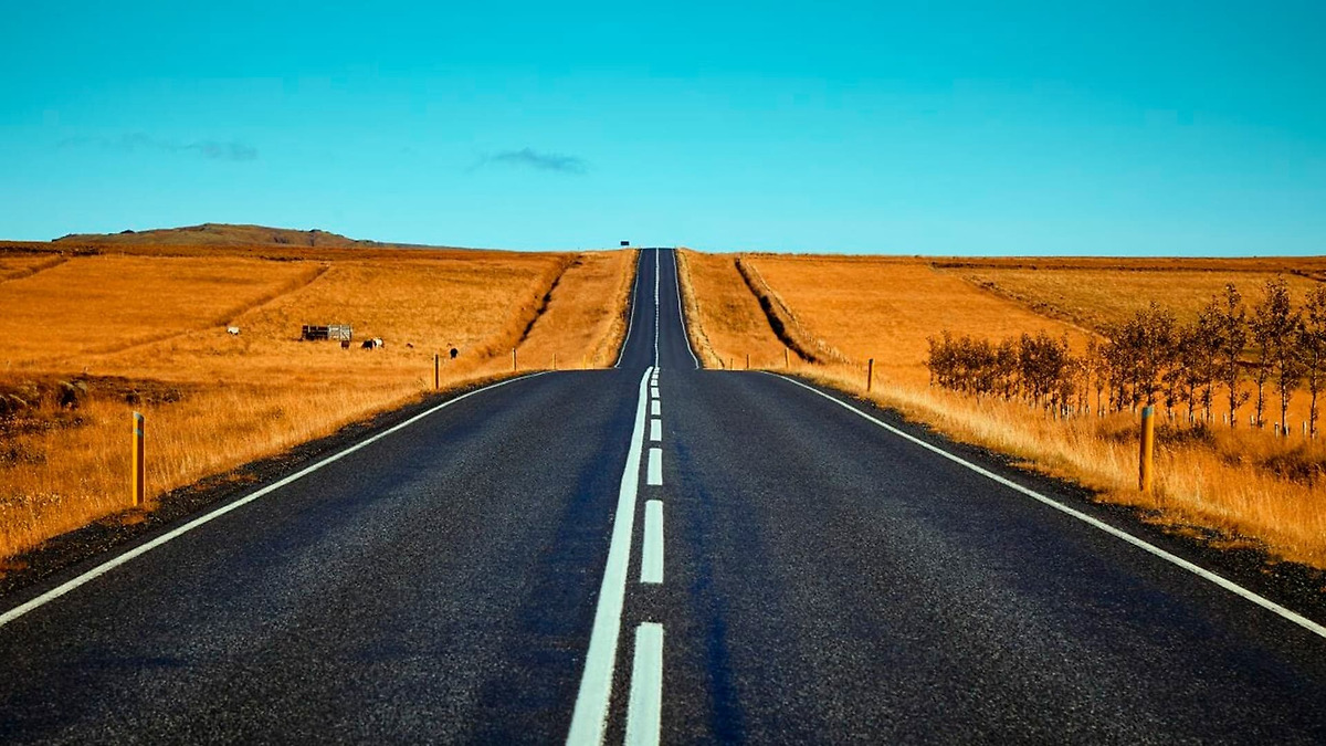 I Travel Because I Have to, I Come Back Because I Love You’ review by ...