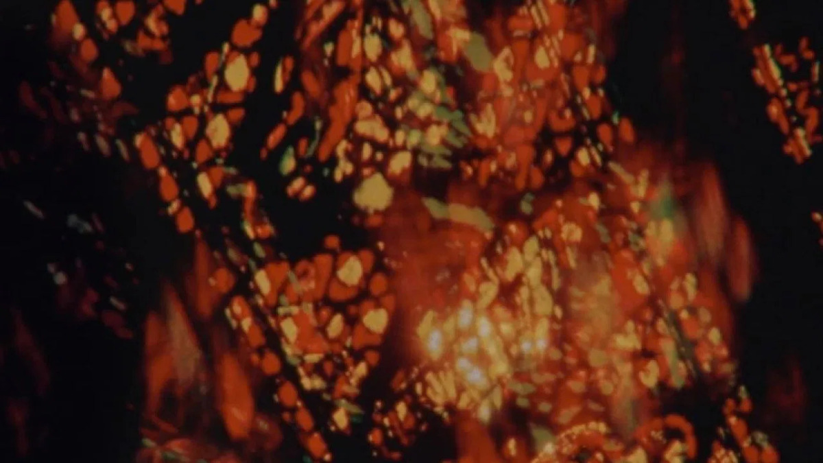 ‎Cathedral (1971) directed by Ronald Chase • Reviews, film + cast ...