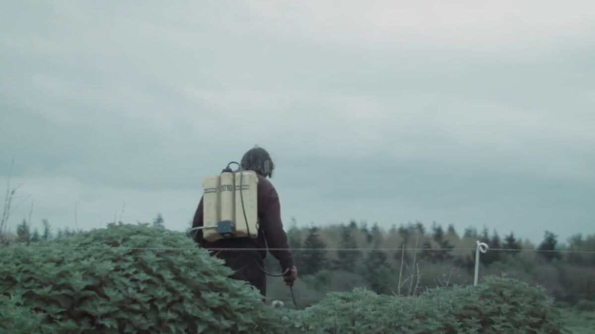 ‎The Lonely Battle of Thomas Reid (2017) directed by Feargal Ward ...