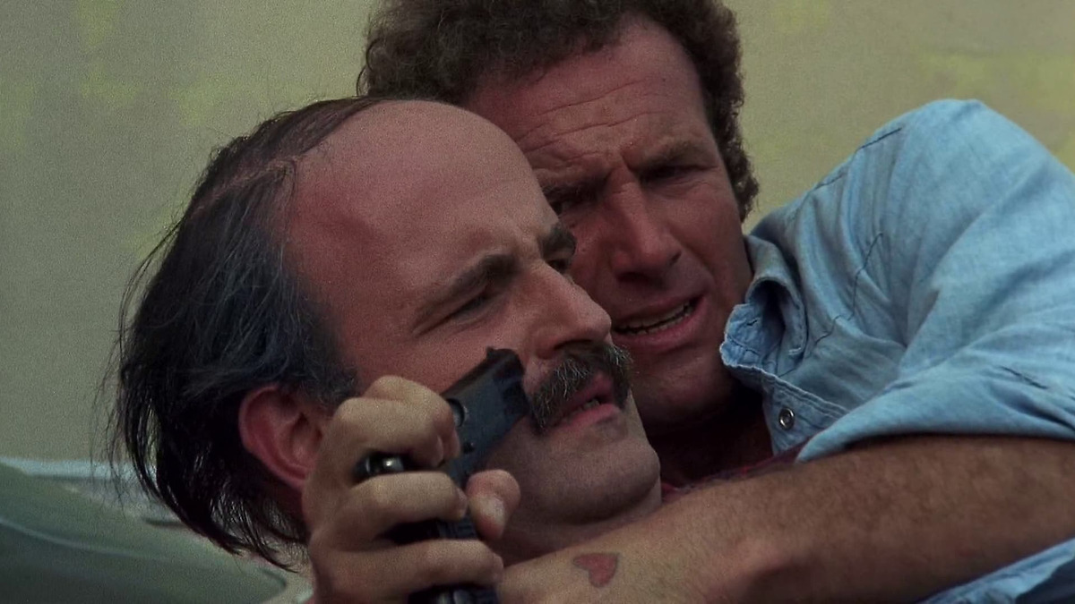 ‎Slither (1973) directed by Howard Zieff • Reviews, film + cast ...