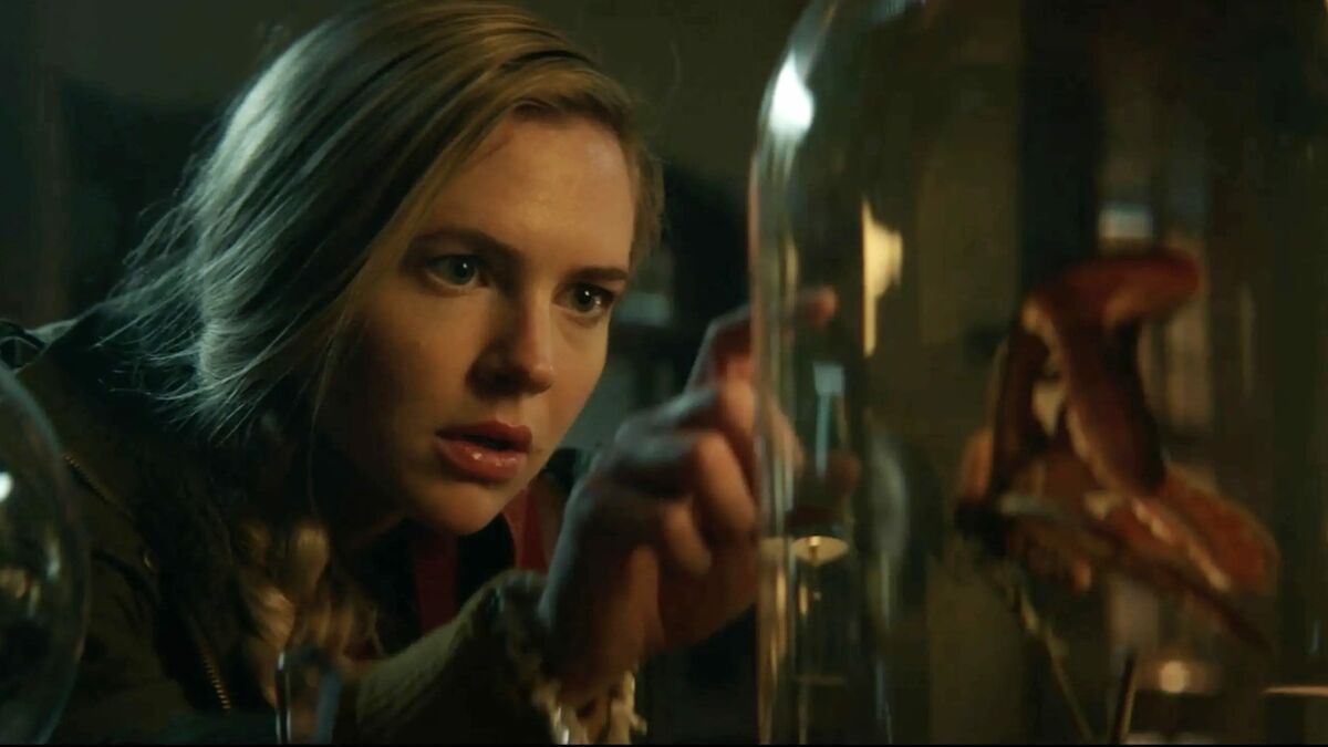 ‎The Mortuary Collection (2019) directed by Ryan Spindell • Reviews ...