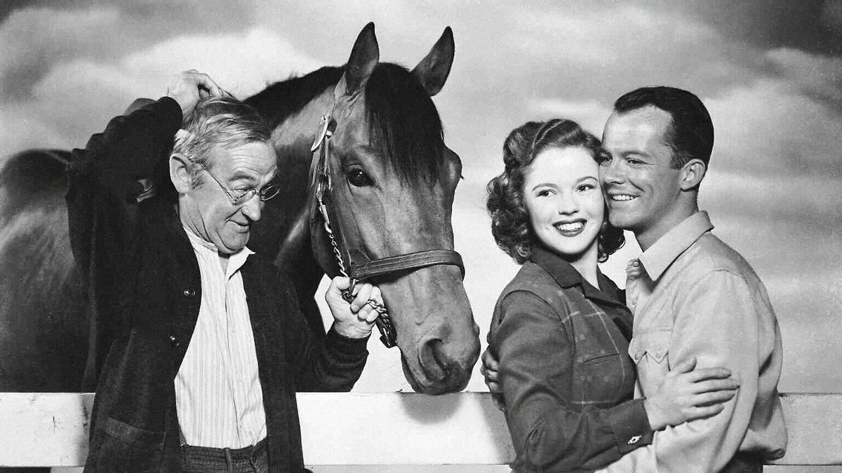 ‎The Story of Seabiscuit (1949) directed by David Butler • Reviews ...