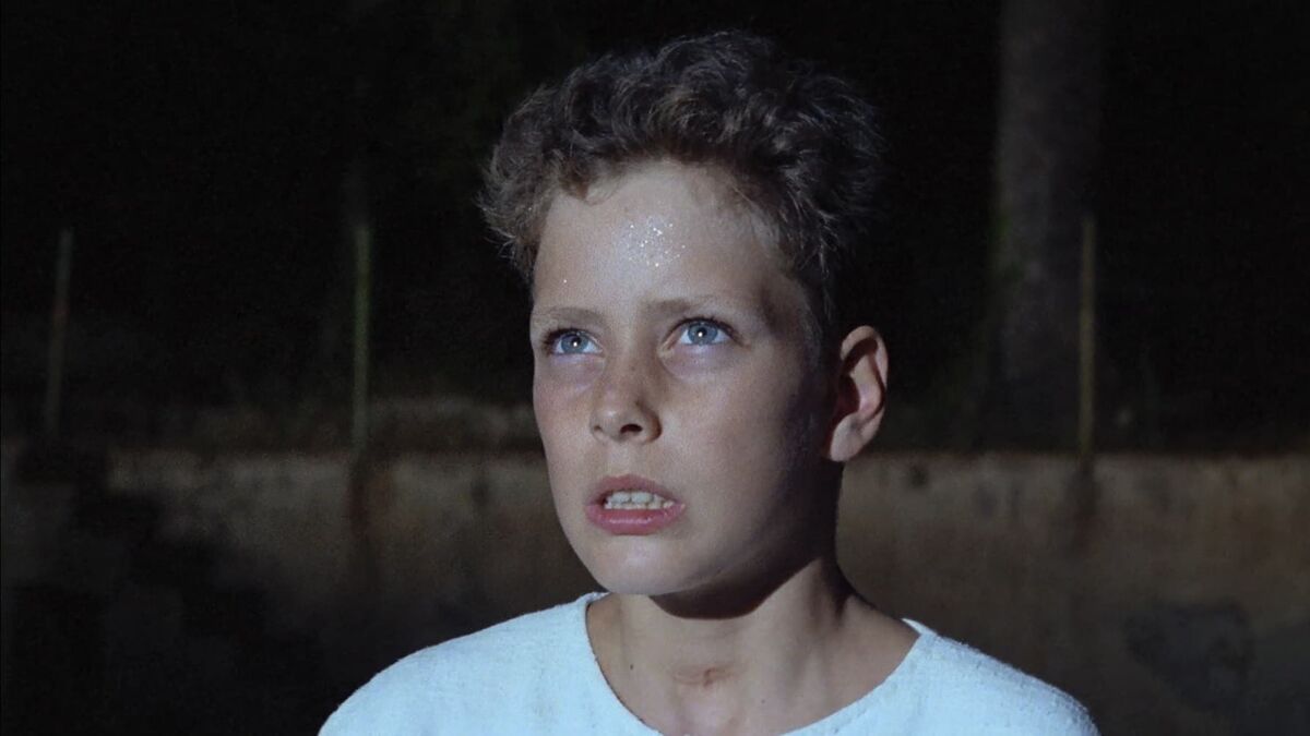 ‎Moon Child (1989) directed by Agustí Villaronga • Reviews, film + cast ...