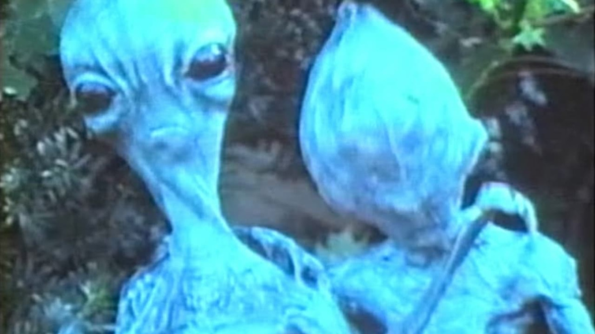 ‎Feeders (1996) directed by John Polonia, Mark Polonia et al • Reviews ...