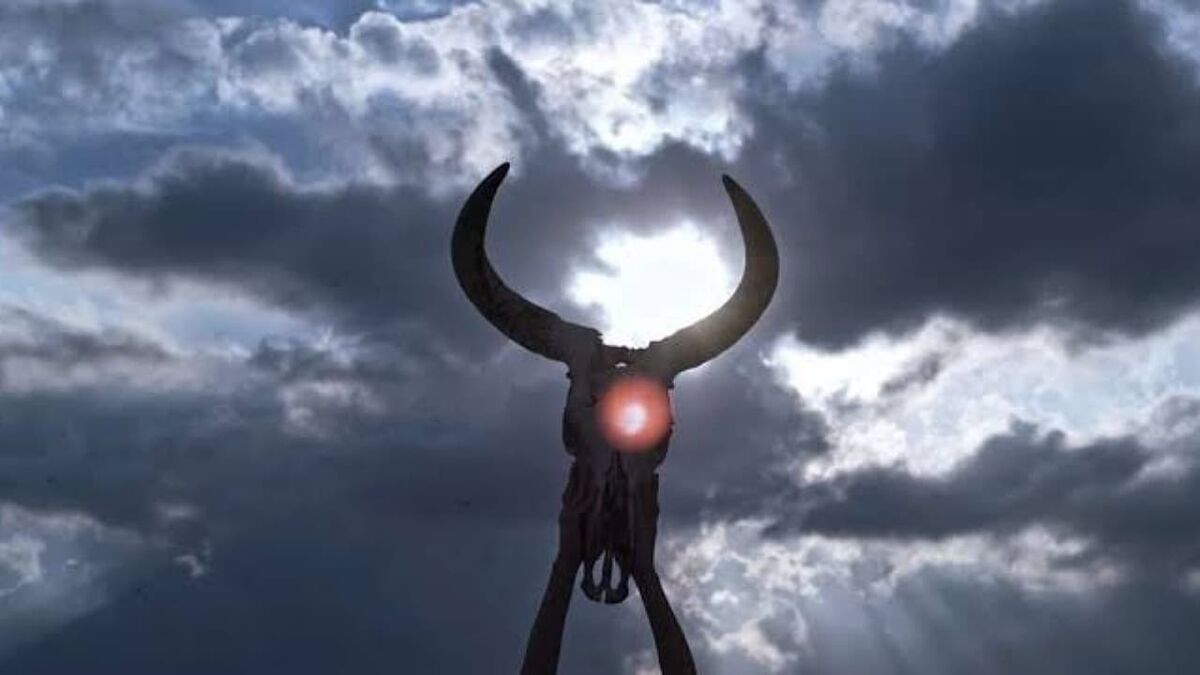 ‎Calypso (2018) directed by Rodrigo Lima, Lucas Parente • Reviews, film ...