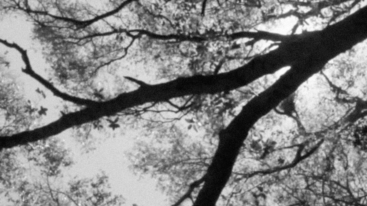 ‎Lonesome (2023) directed by Tyler R. Jenkins • Reviews, film + cast ...
