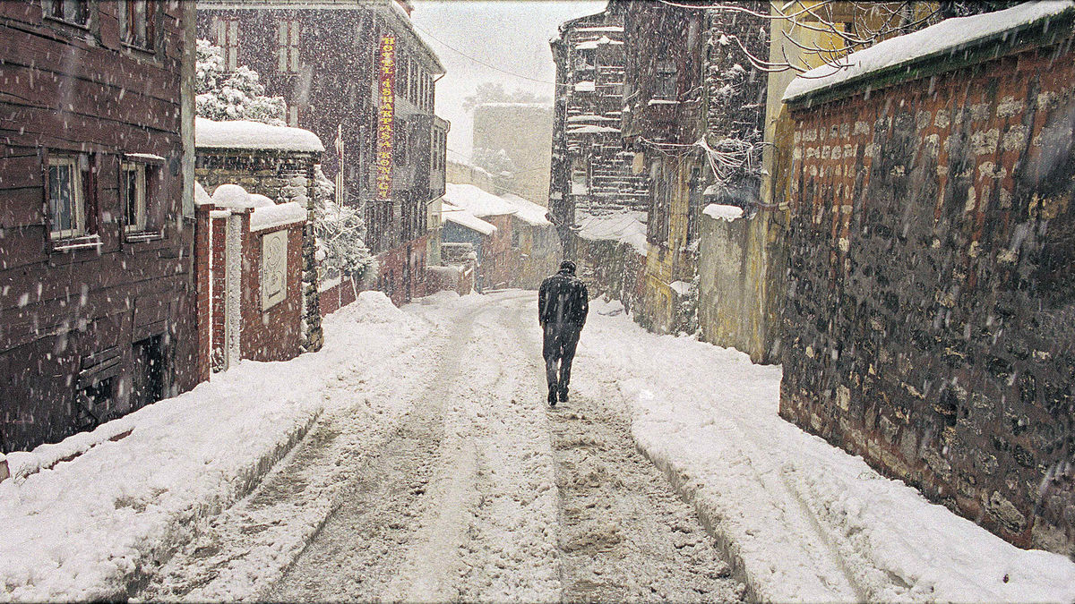 â ždistant 2002 Directed By Nuri Bilge Ceylan â Reviews Film Cast