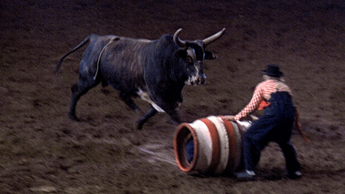 ‎Rodeo (1969) directed by Carroll Ballard • Reviews, film + cast ...