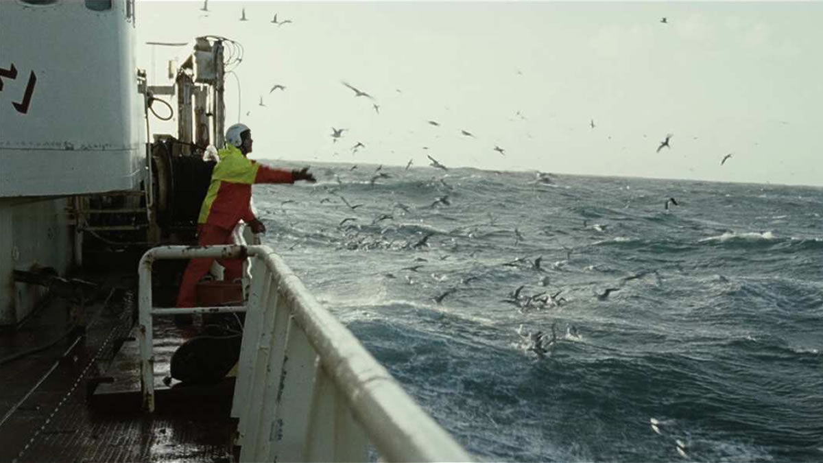 ‎Undercurrent (2010) directed by Árni Ólafur Ásgeirsson • Reviews, film + cast • Letterboxd