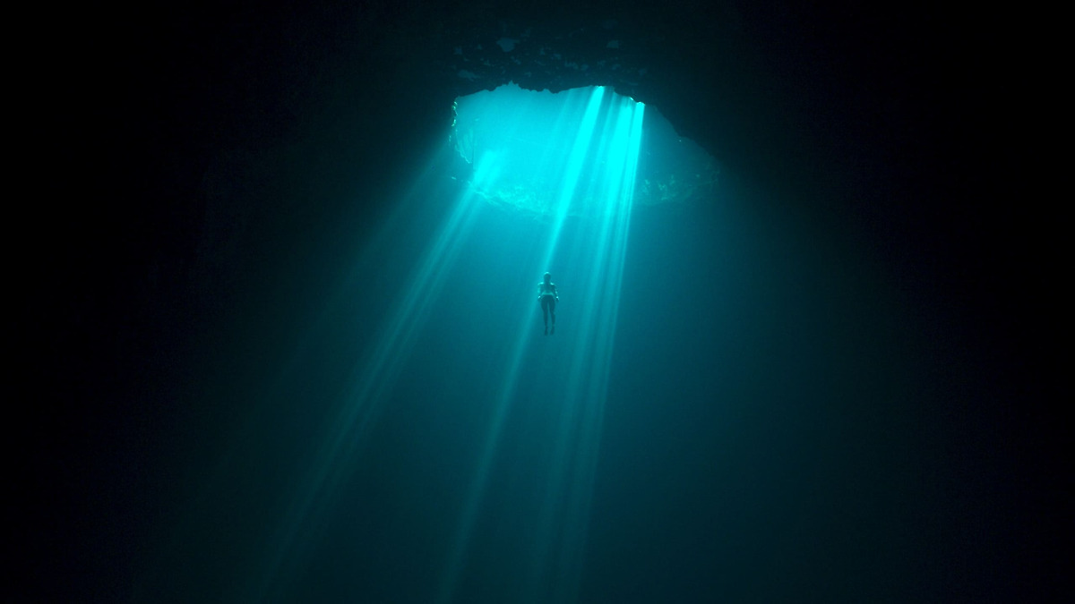 ‎The Deepest Breath (2023) directed by Laura McGann • Reviews, film ...