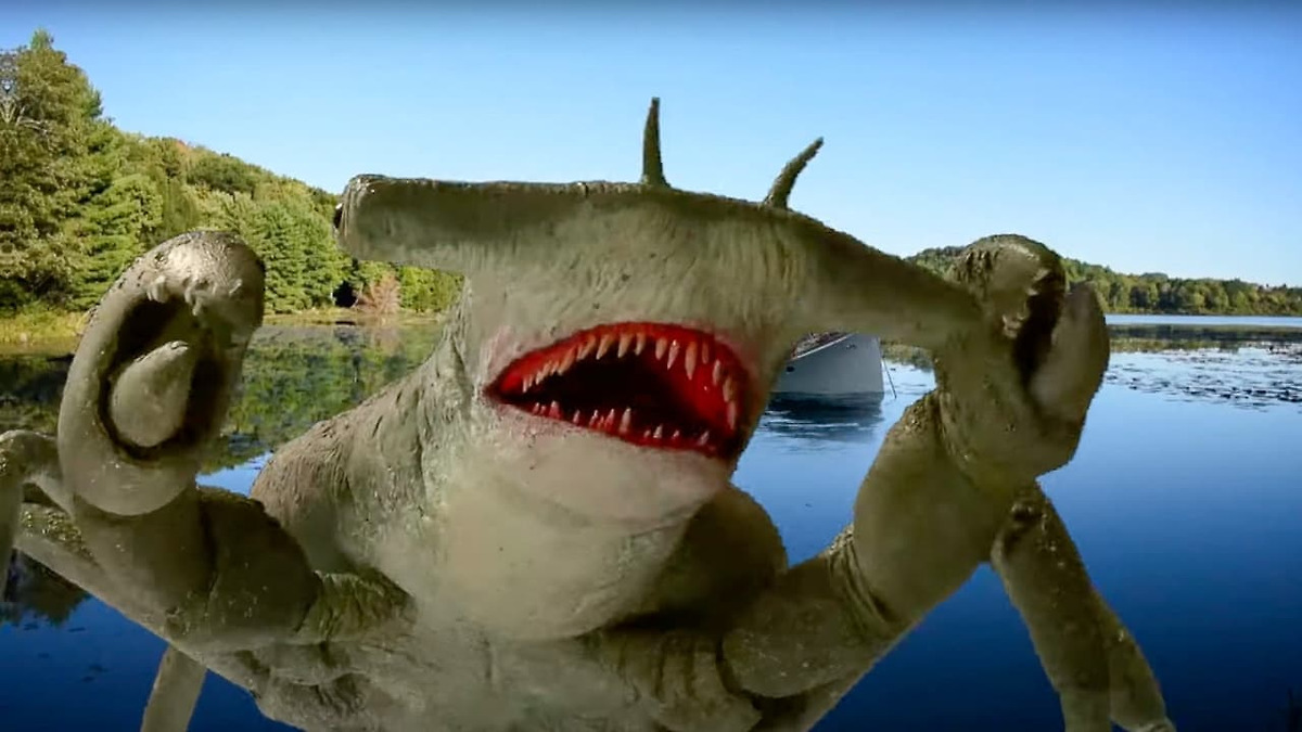 Cocaine Shark’ review by Xfaxe • Letterboxd