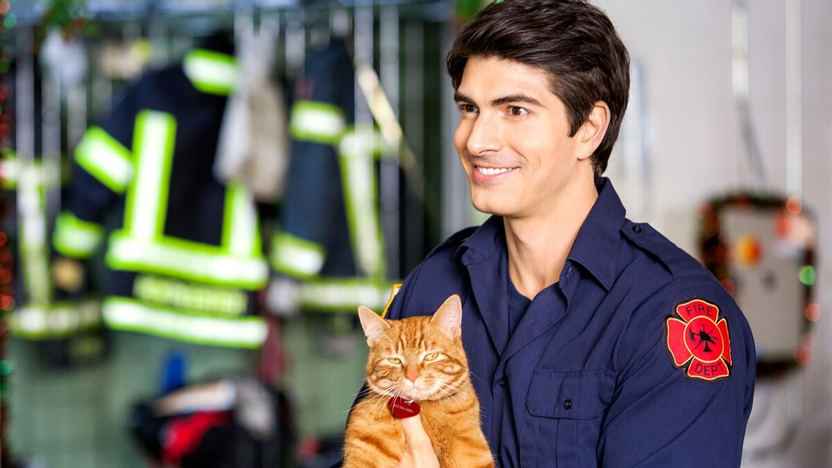 ‎The Nine Lives of Christmas (2014) directed by Mark Jean • Reviews ...