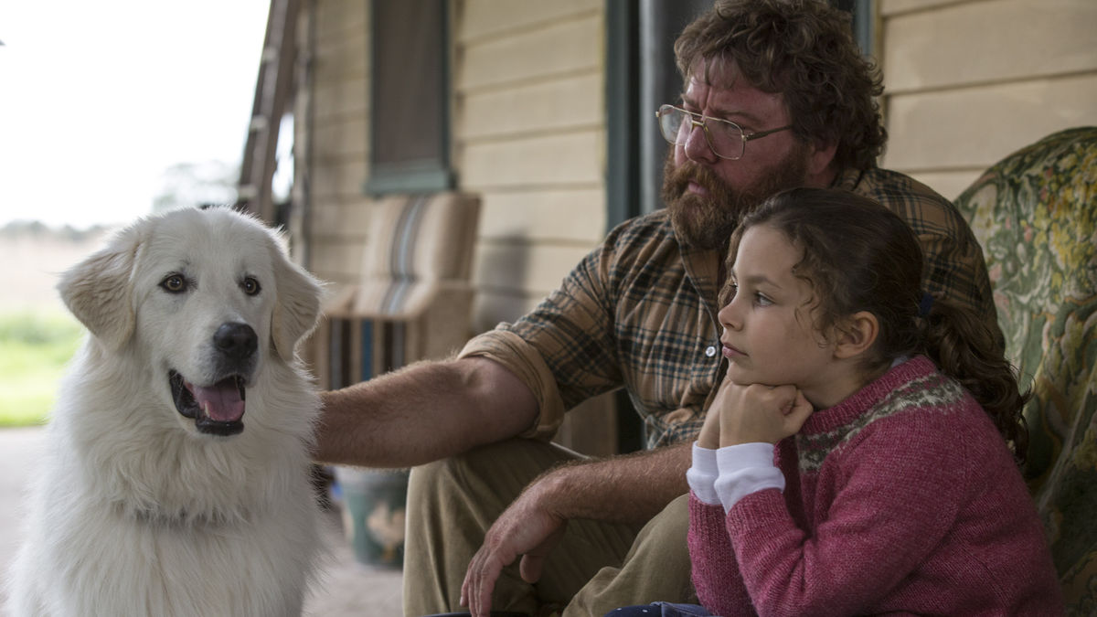 ‎Oddball (2015) directed by Stuart McDonald • Reviews, film + cast ...