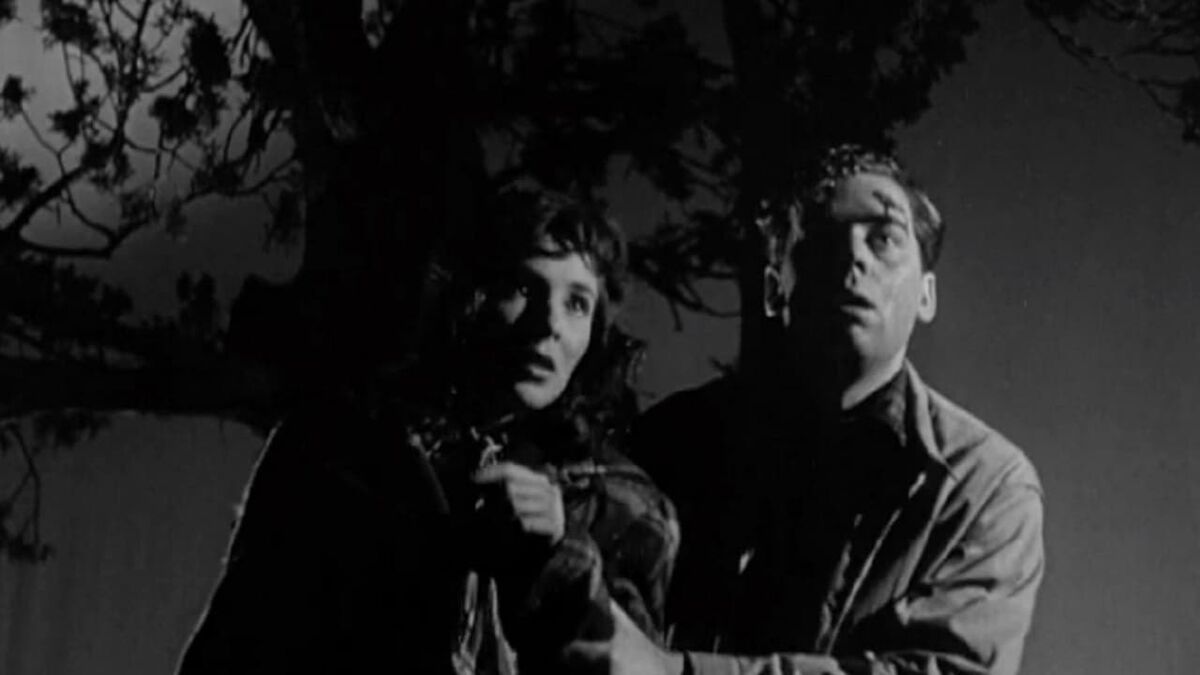 ‎The Whip Hand (1951) directed by William Cameron Menzies • Reviews ...