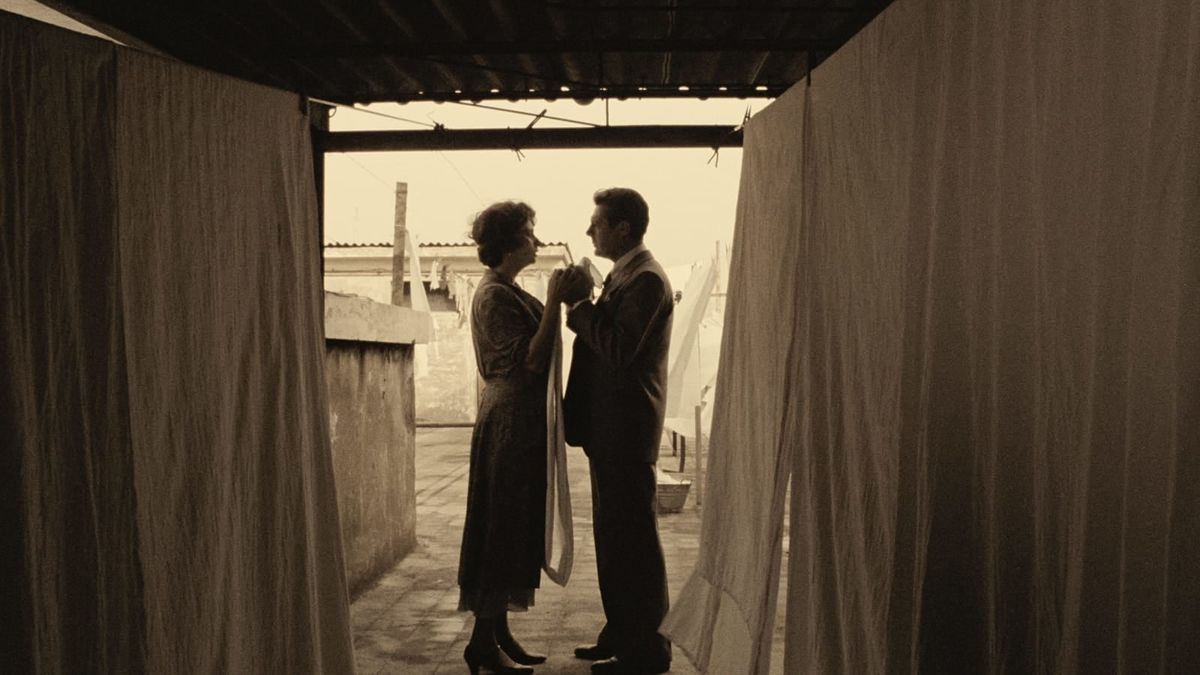 ‎A Special Day (1977) directed by Ettore Scola • Reviews, film + cast ...