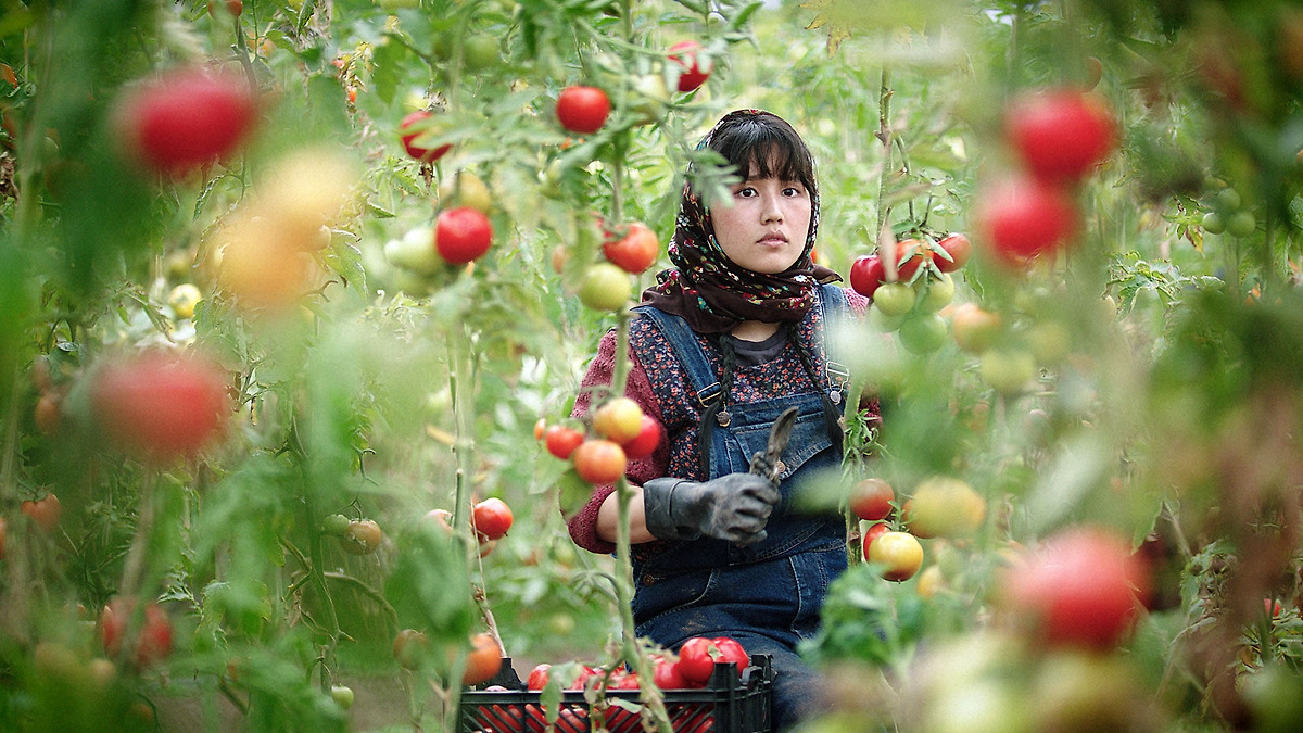 ‎In the Land of Brothers (2024) directed by Alireza Ghasemi, Raha ...