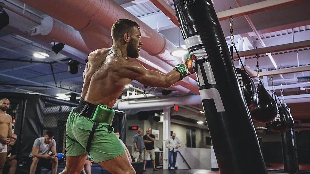 ‎Conor McGregor: Notorious (2017) directed by Gavin FitzGerald ...
