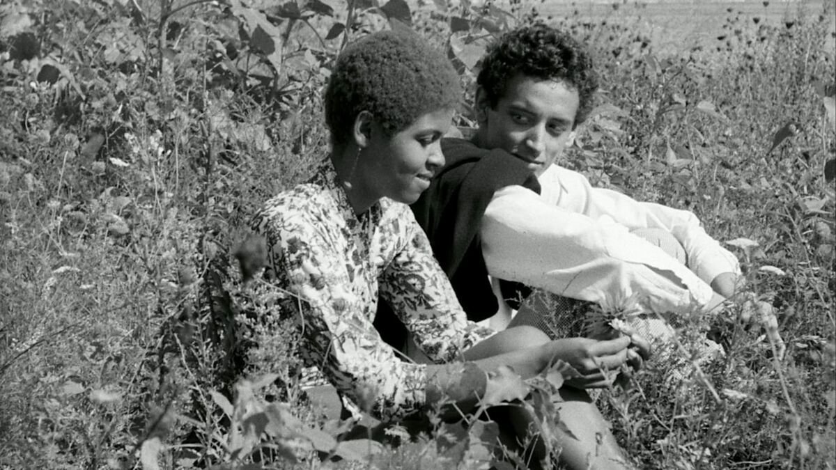 Guns of the Trees’ watched by Joe Baker • Letterboxd