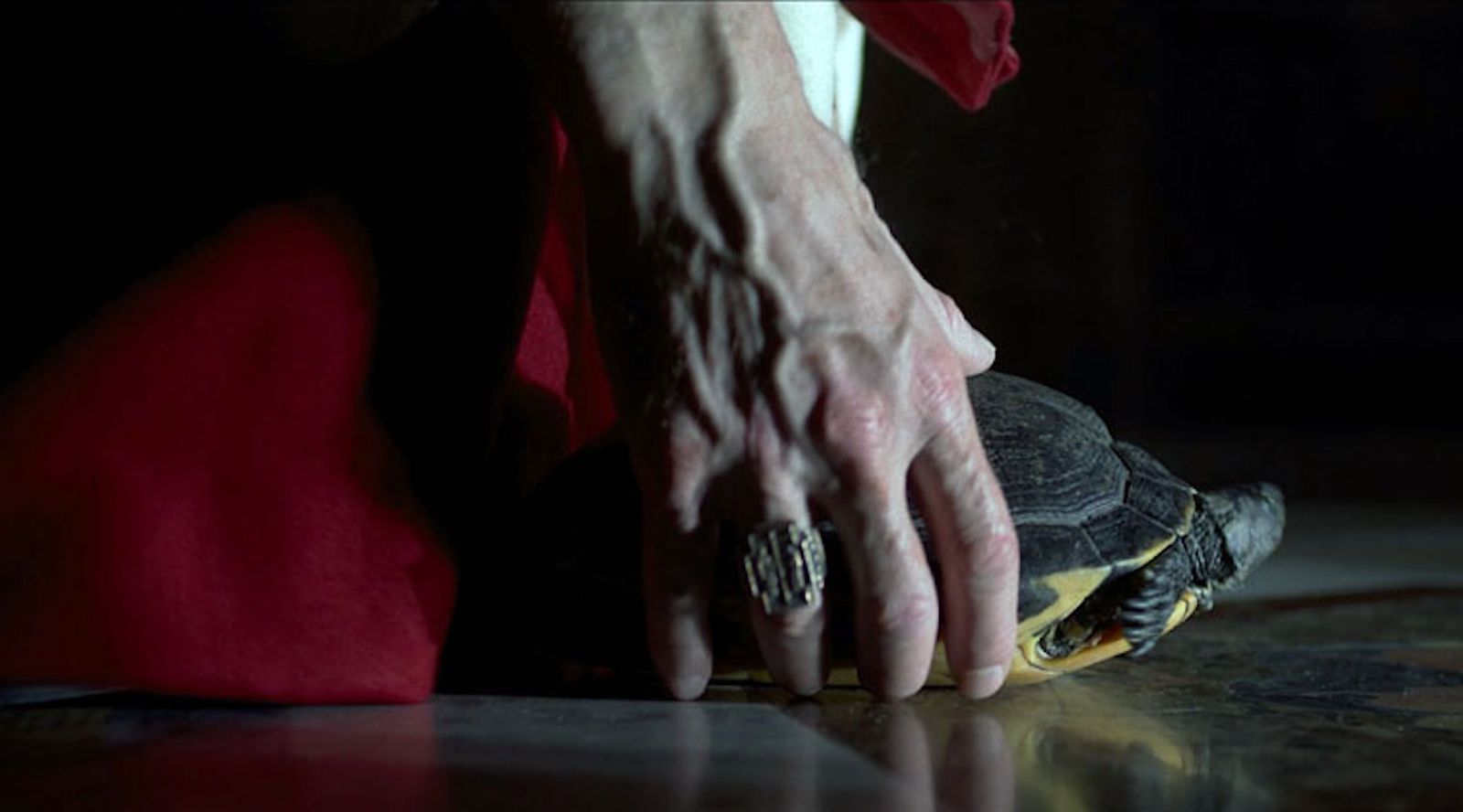 ‎Tiny Dancer: how the low-budget Anora became an awards season ...