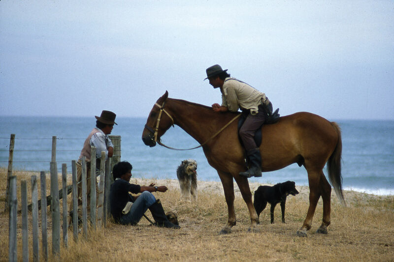 ‎New Native Cinema, Part I: Smoke Signals • Journal • A Letterboxd ...