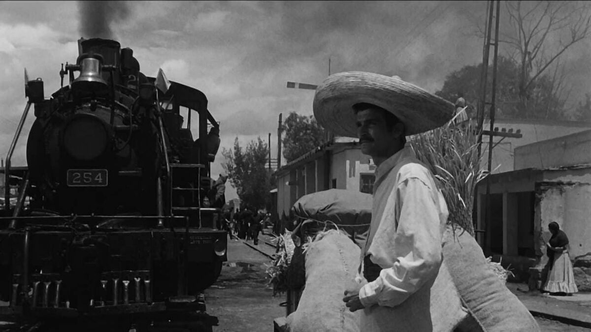 The Scapular’ review by Jose Castillo • Letterboxd