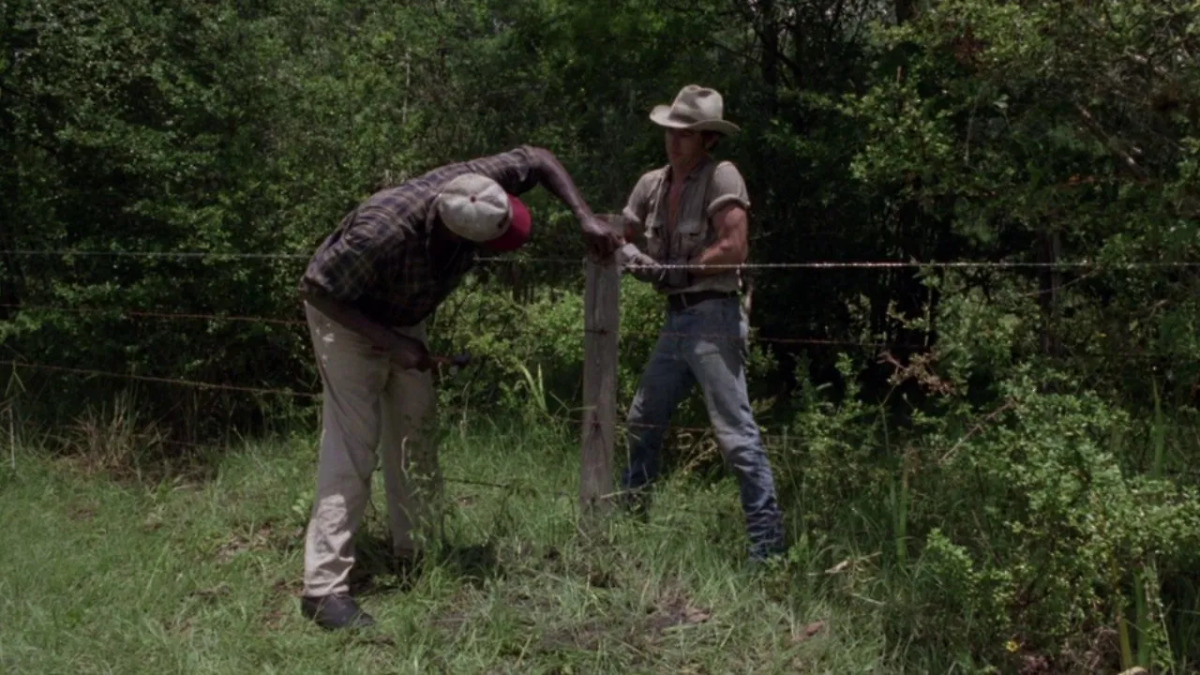 ‎The Enchanted (1984) directed by Carter Lord • Reviews, film + cast • Letterboxd