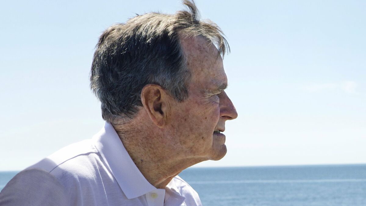 ‎41 (2012) directed by Jeffrey Roth • Reviews, film + cast • Letterboxd