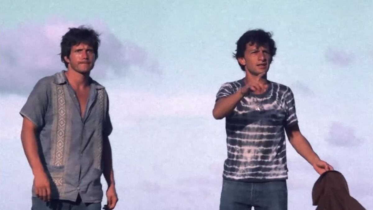 ‎El Cambio (1971) directed by Alfredo Joskowicz • Reviews, film + cast ...