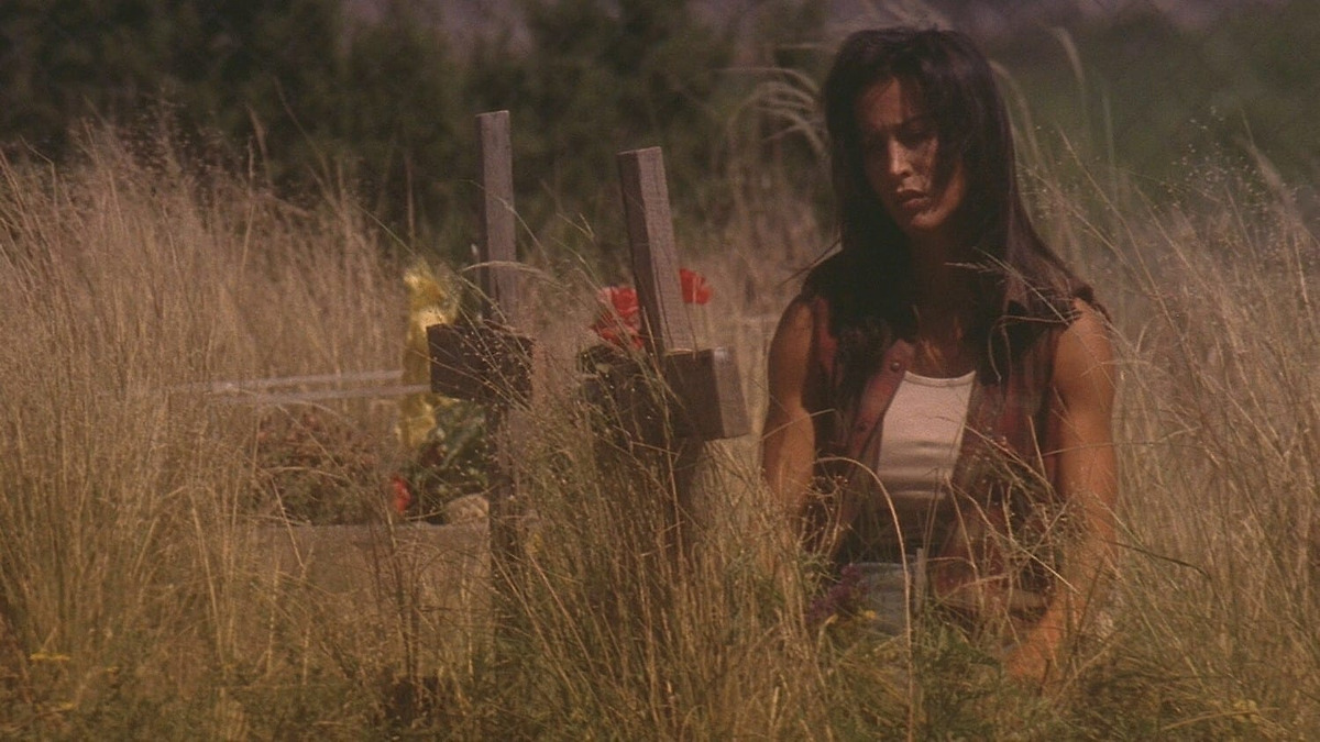 ‎Raven Hawk (1996) directed by Albert Pyun • Reviews, film + cast ...