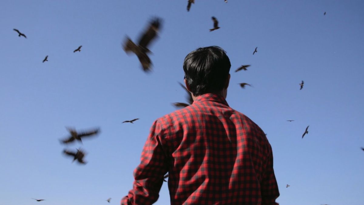 ‎Junun (2015) directed by Paul Thomas Anderson • Reviews, film + cast ...