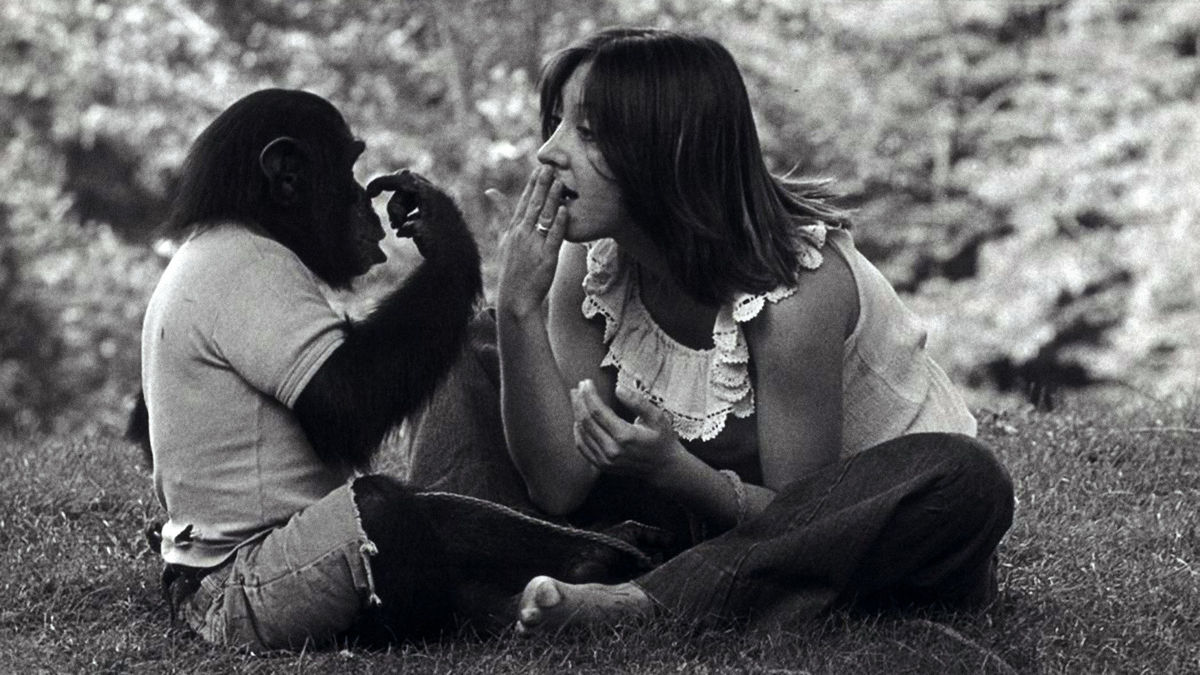 ‎Project Nim (2011) directed by James Marsh • Reviews, film + cast ...