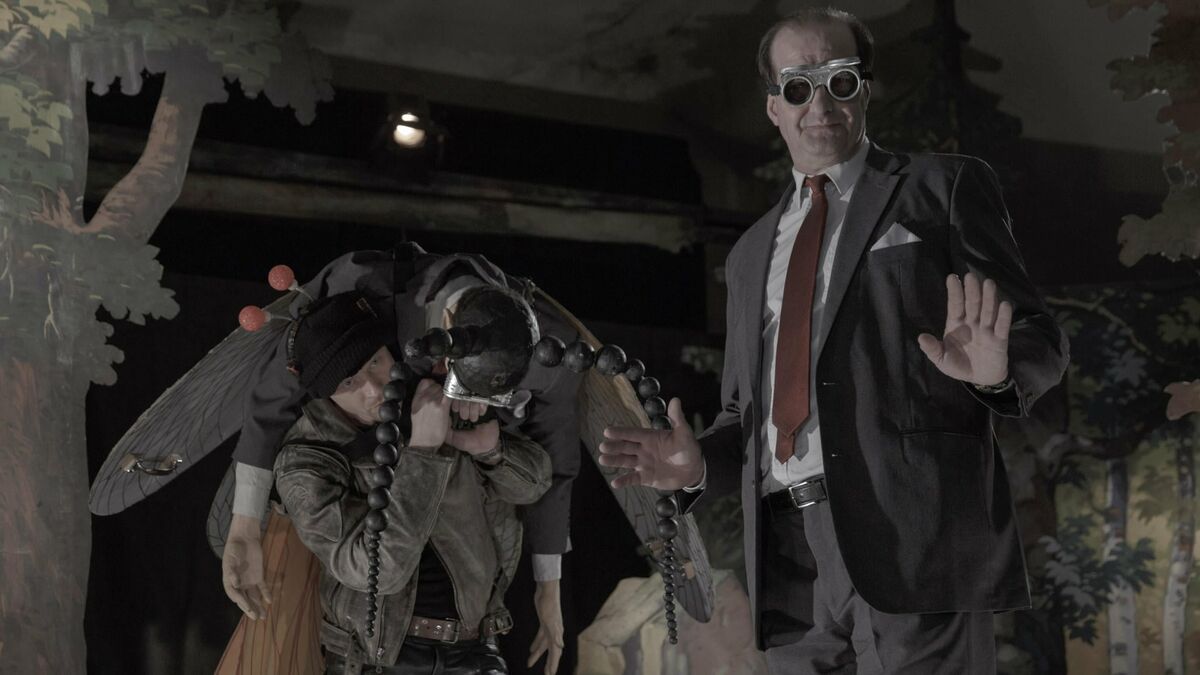 ‎Insect (2018) directed by Jan Švankmajer • Reviews, film + cast ...