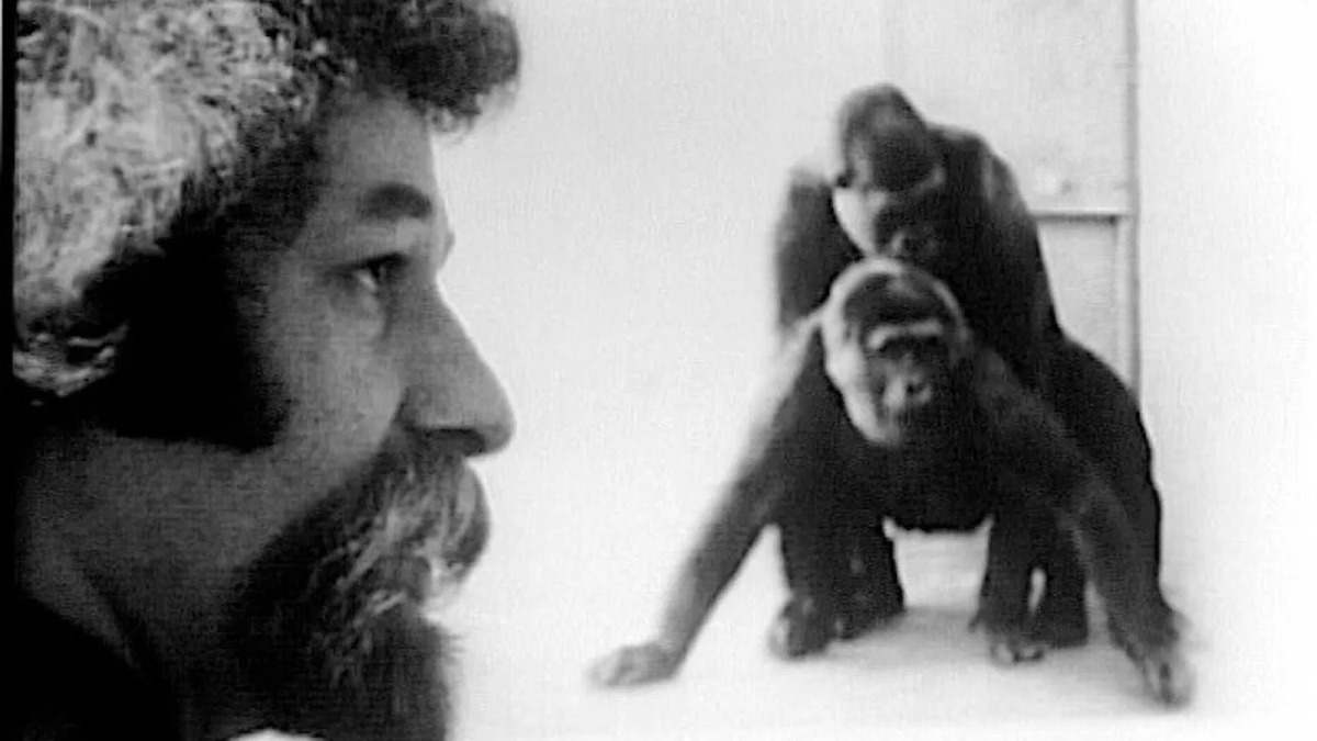 ‎Primate (1974) directed by Frederick Wiseman • Reviews, film + cast ...
