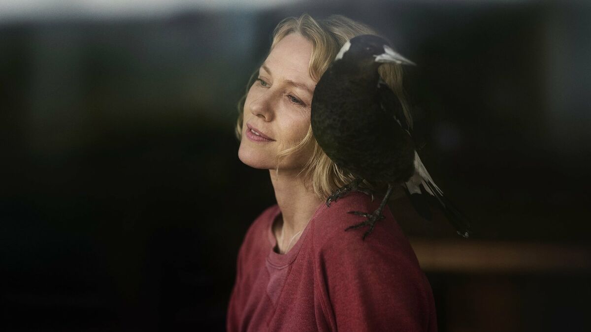 ‎Penguin Bloom (2020) directed by Glendyn Ivin • Reviews, film + cast ...