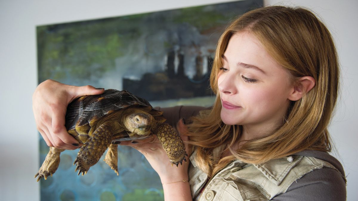 ‎Laggies (2014) directed by Lynn Shelton • Reviews, film + cast ...
