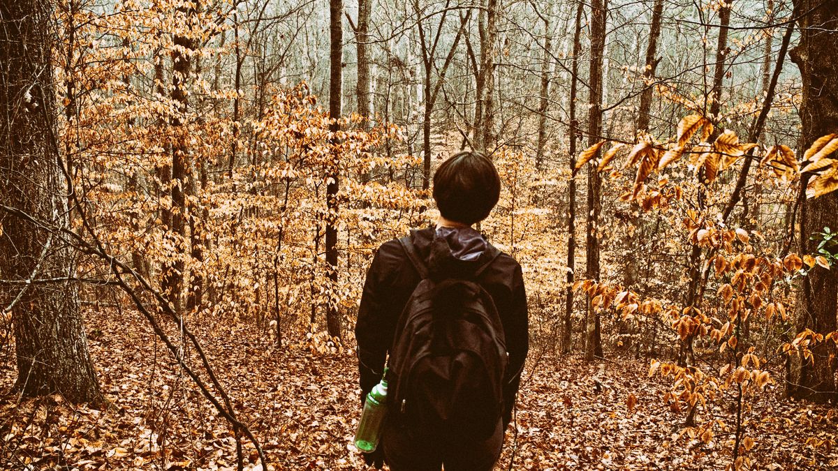 ‎All Girls Weekend (2016) directed by Lou Simon • Reviews, film + cast ...