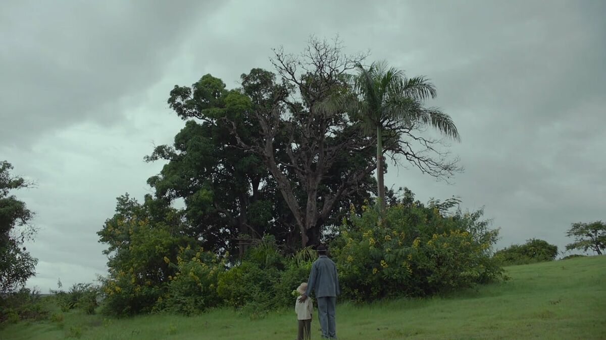 ‎Liborio (2021) directed by Nino Martínez Sosa • Reviews, film + cast ...