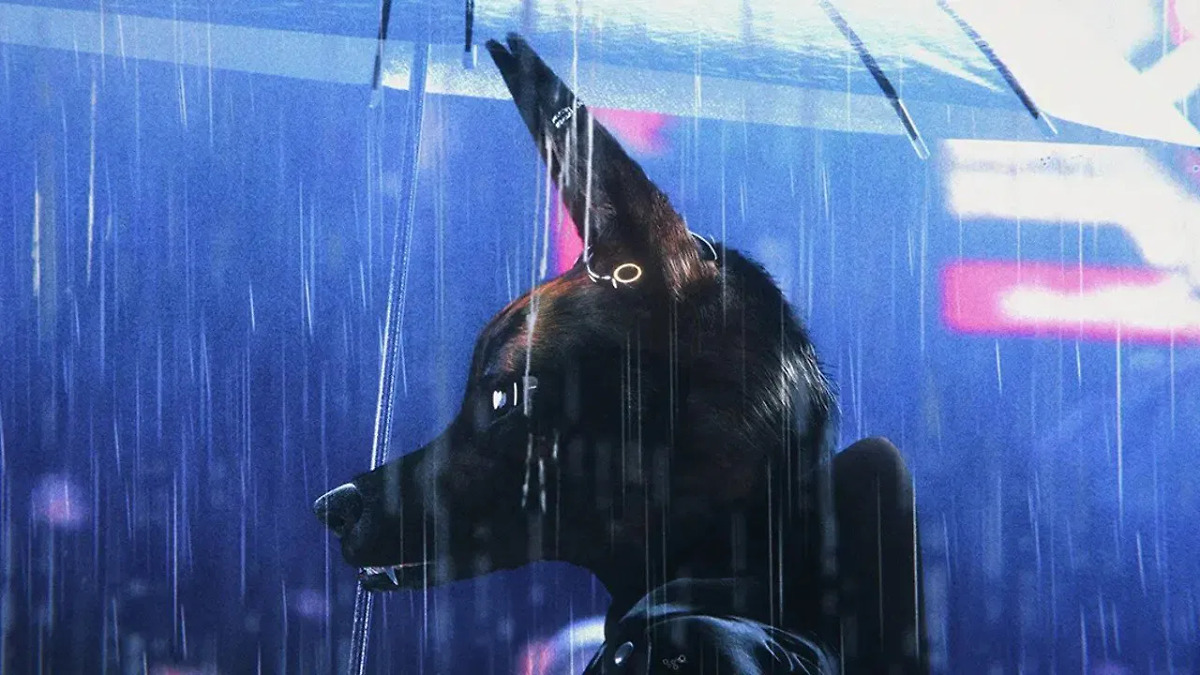 ‎Bouchra (2025) directed by Orian Barki, Meriem Bennani • Reviews, film + cast • Letterboxd