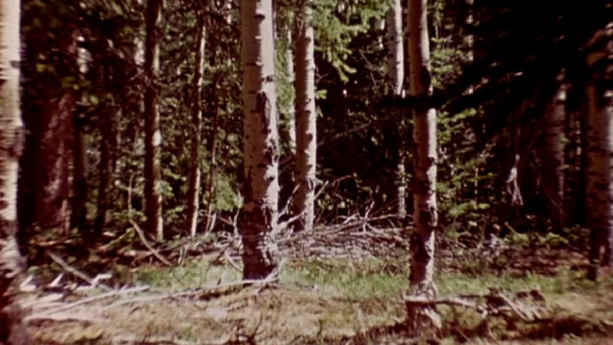 ‎short film inspo, a list of films by Finn Curran • Letterboxd