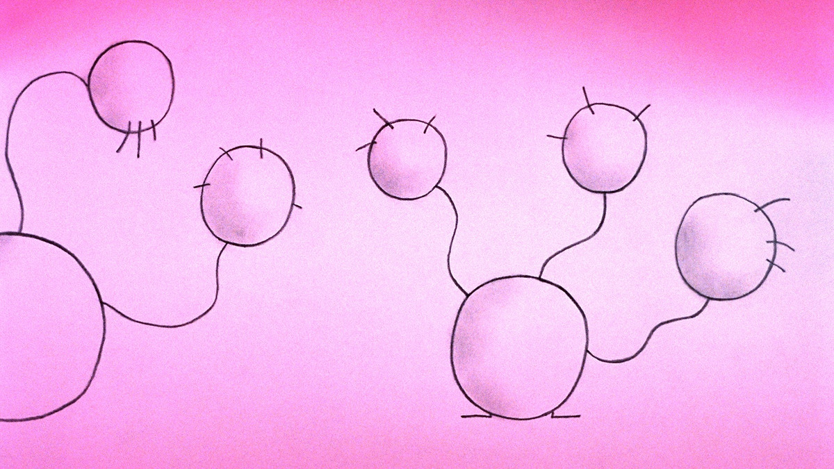 ‎The Meaning of Life (2005) directed by Don Hertzfeldt • Reviews, film ...