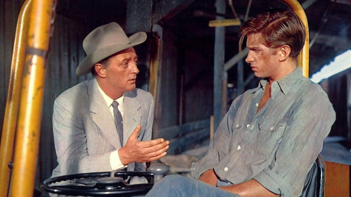 Home from the Hill’ review by V. Lepistö • Letterboxd