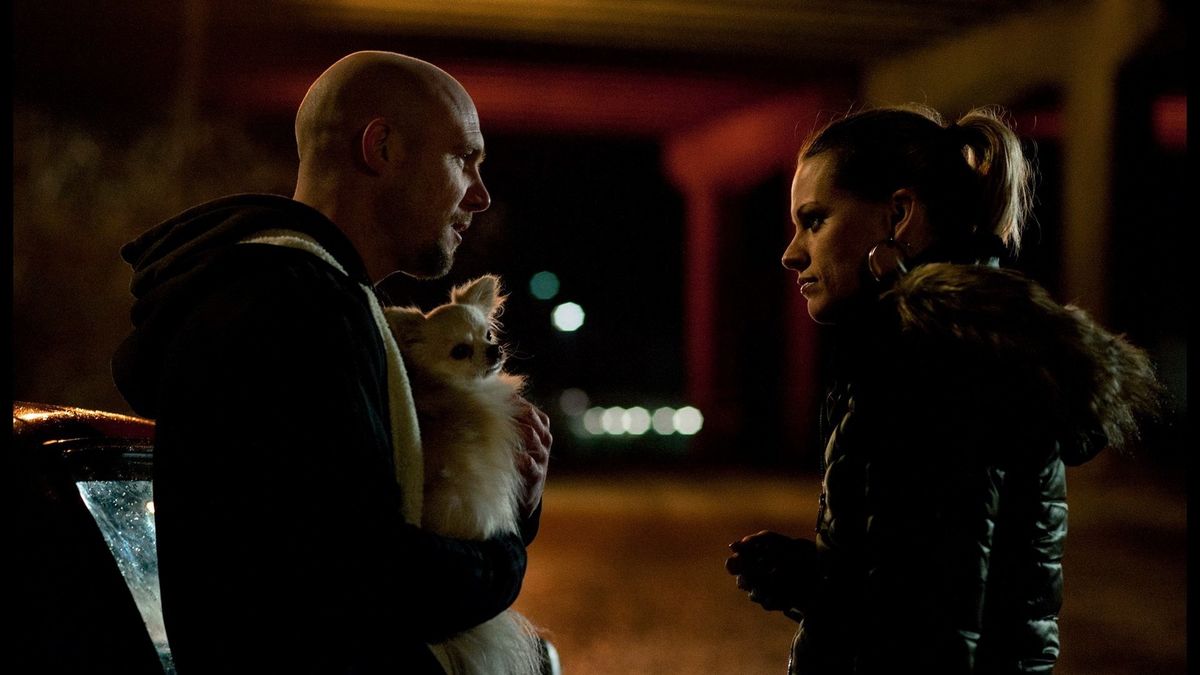 ‎The Ardennes (2015) directed by Robin Pront • Reviews, film + cast ...