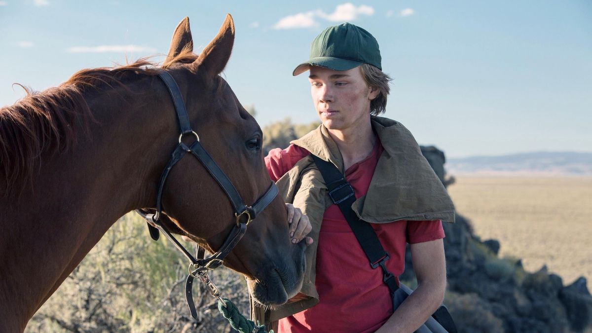 ‎Lean on Pete (2017) directed by Andrew Haigh • Reviews, film + cast • Letterboxd