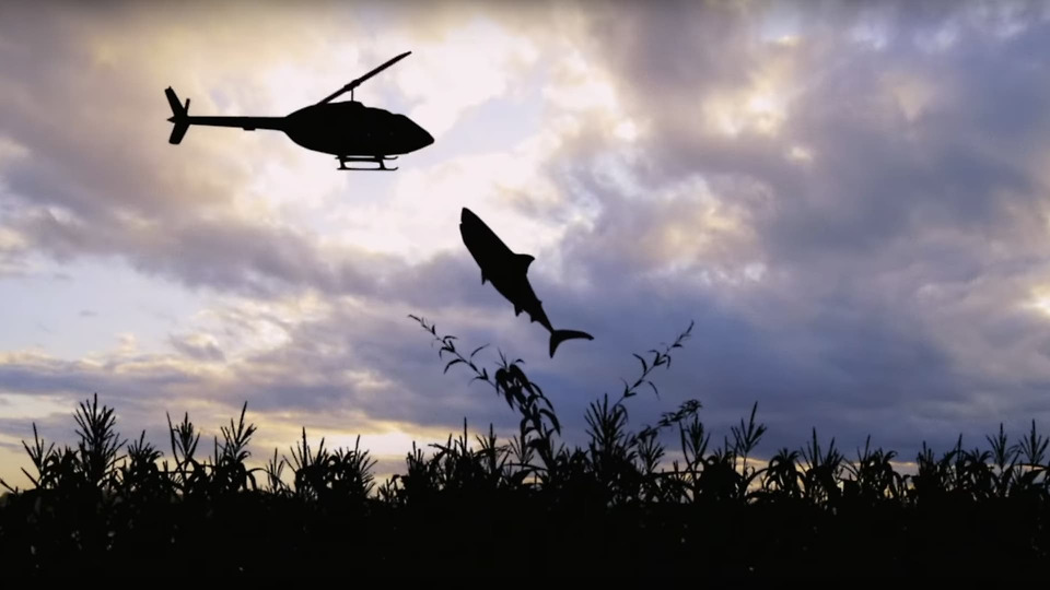 ‎Fans of Sharks of the Corn (2021) • Letterboxd