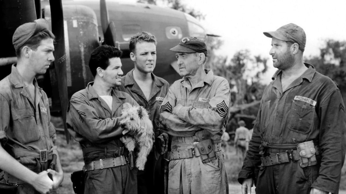 Air Force’ review by Bruno Andrade • Letterboxd