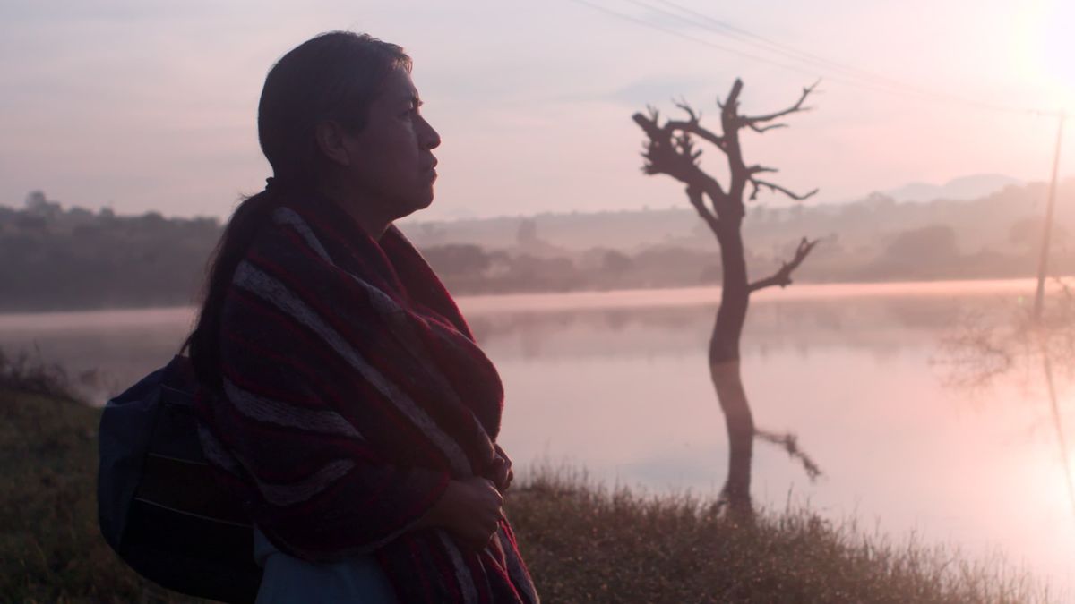 Identifying Features’ review by SamuTan • Letterboxd