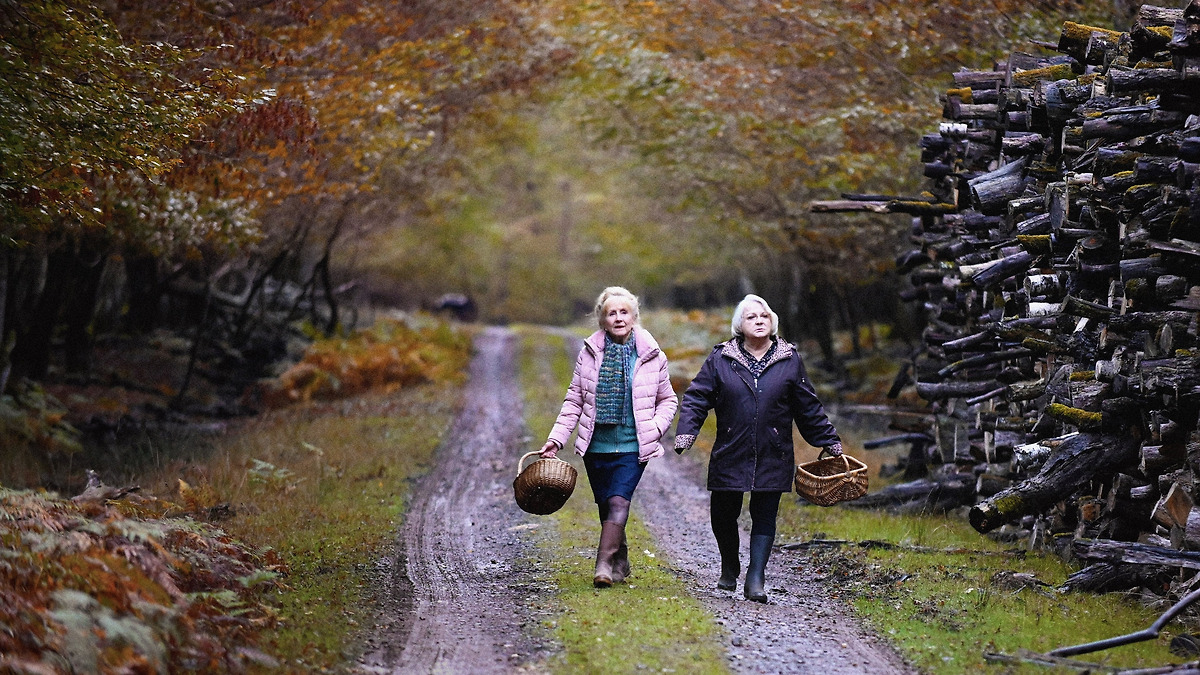 ‎When Fall Is Coming (2024) directed by François Ozon • Reviews, film ...